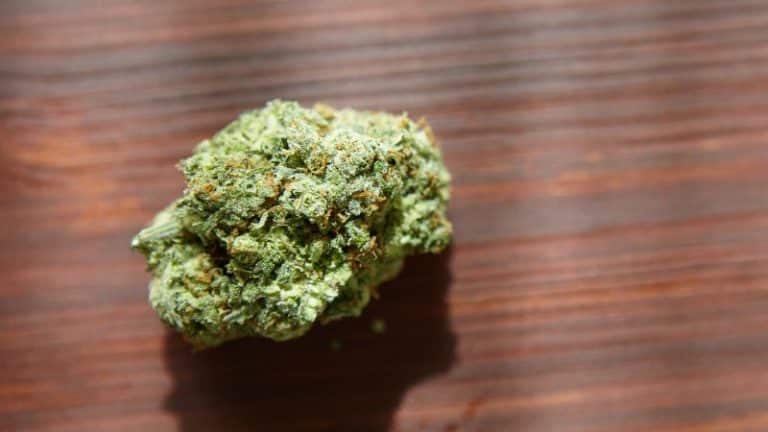 Black Gas Weed Strain the Strongest Indica You Haven’t Tried Yet