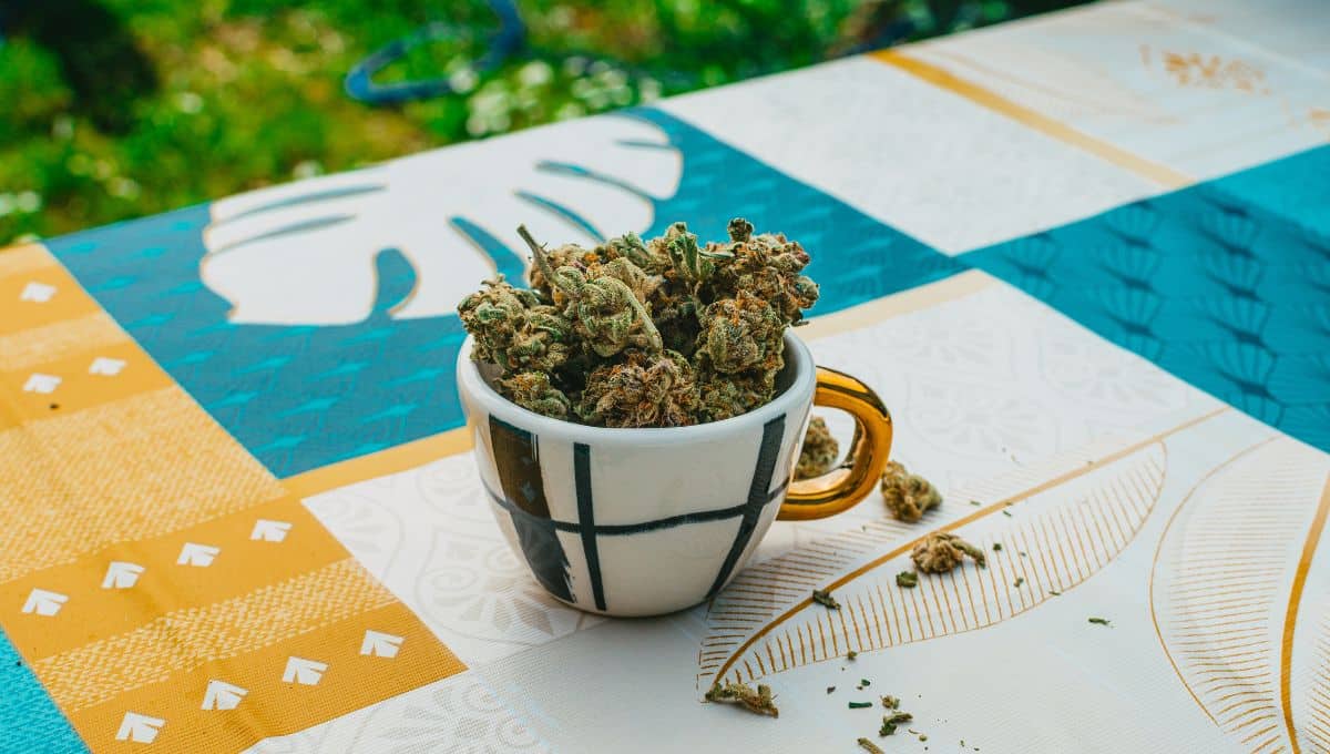 Stress Be Gone: Why the Gas Monkey Strain Is Your Chill-Out Cheat Code