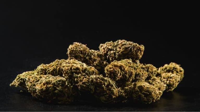 Meet Jelly Breath Strain: You Came for the Flavour, You’ll Stay for the ...