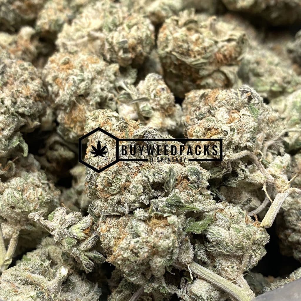 Green Gelato - Online Dispensary Canada | Buyweedpacks