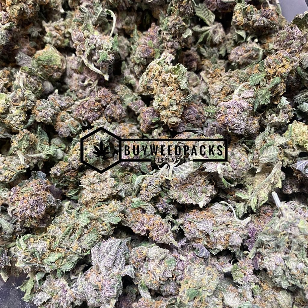 White Choco Haze - Online Dispensary Canada | Buyweedpacks