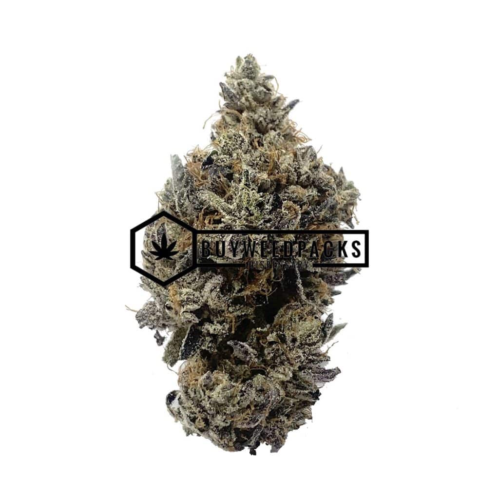 Brownie Scout - Online Dispensary Canada | Buyweedpacks