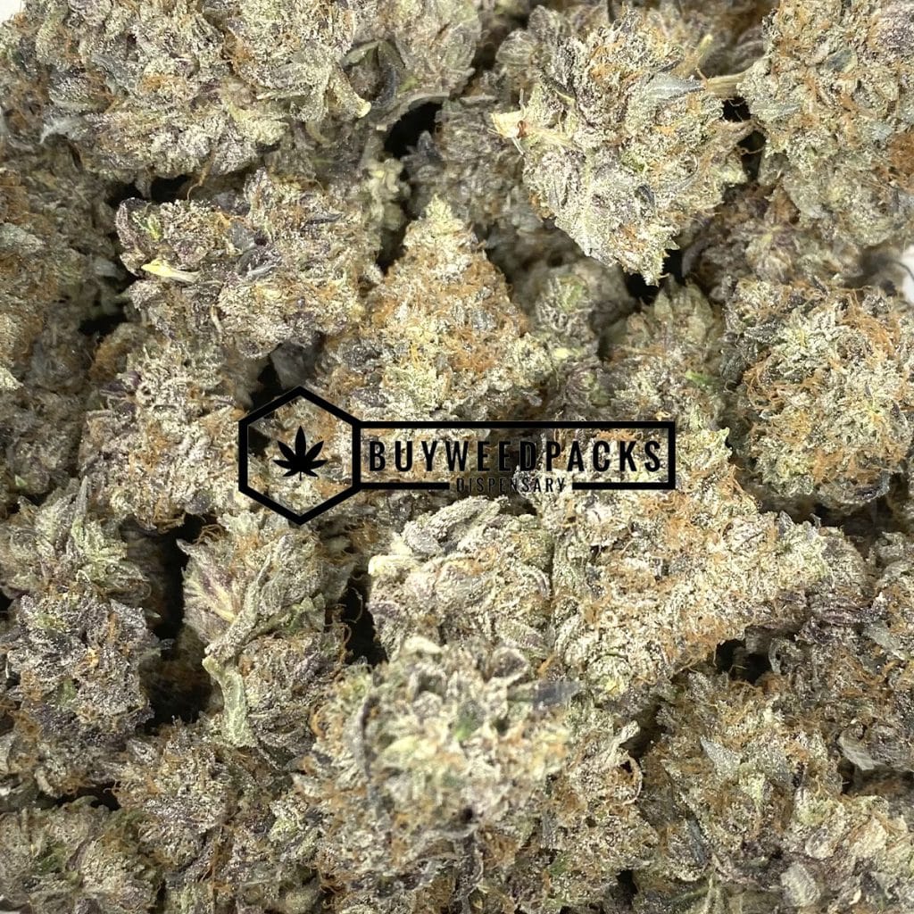 Brownie Scout - Online Dispensary Canada | Buyweedpacks