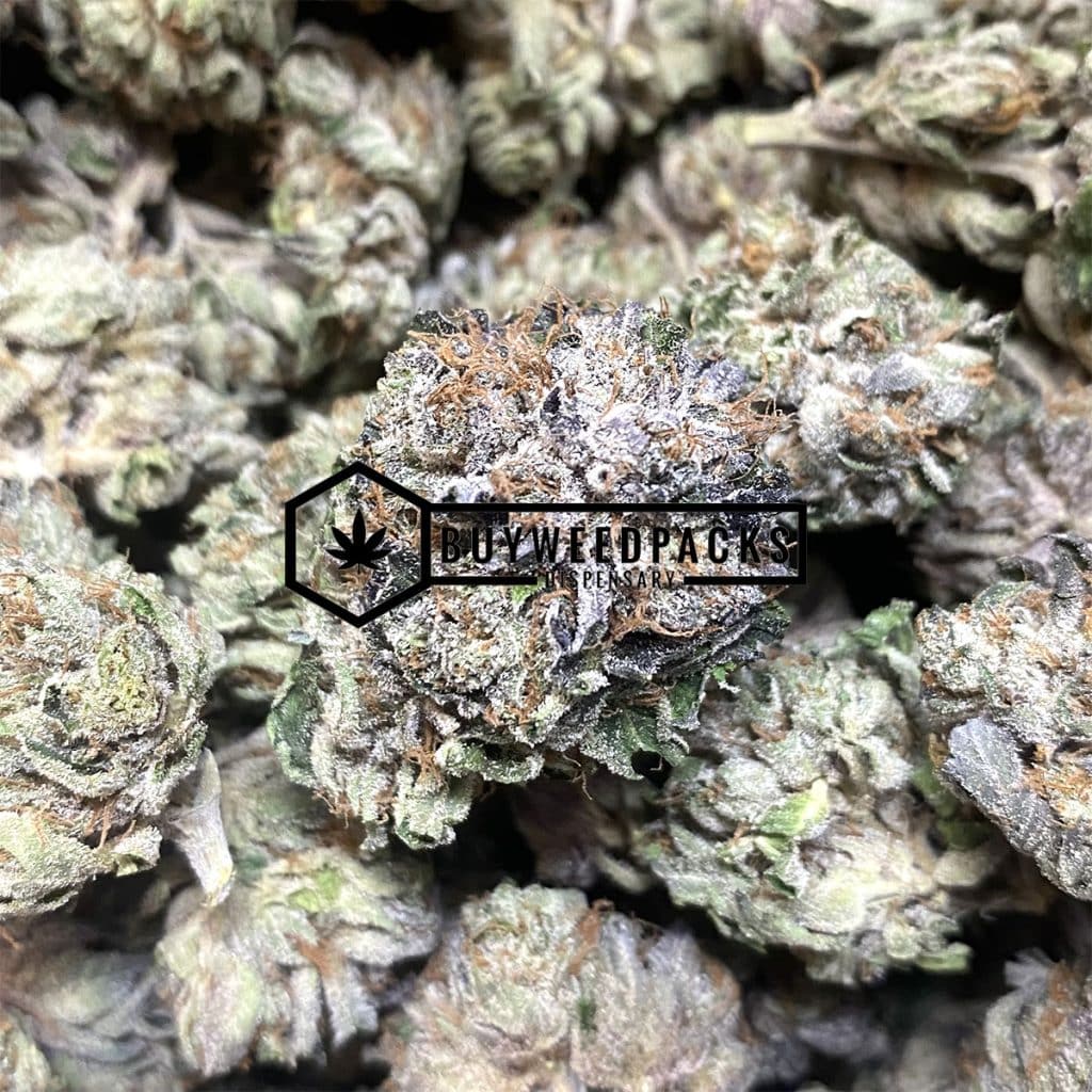 EL Jefe - Buy Online Weeds - Buyweedpacks