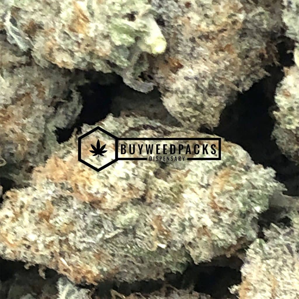 Premium Weed Deals - Shop Discounted Cannabis In Canada